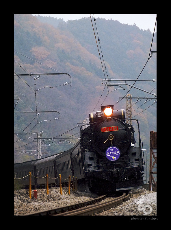 SL撮影記 Vol.235「白爆のD51誕生記念号・上越線」: しゅみ? しごと?